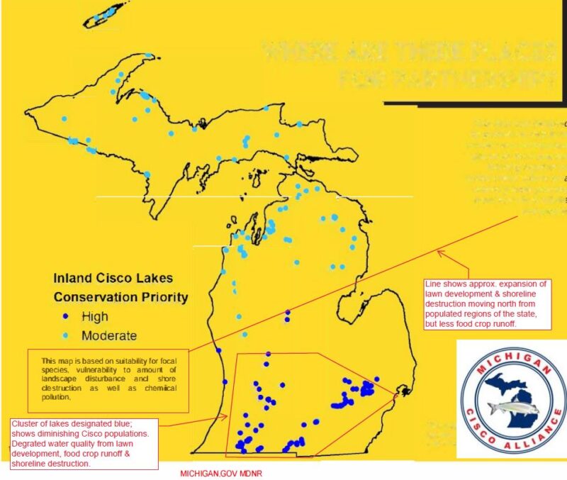 Michigan Cisco Alliance