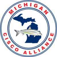 Michigan Cisco Alliance